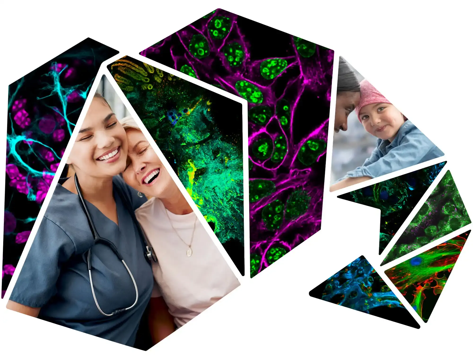 Home | Elephas | Elephas Platform